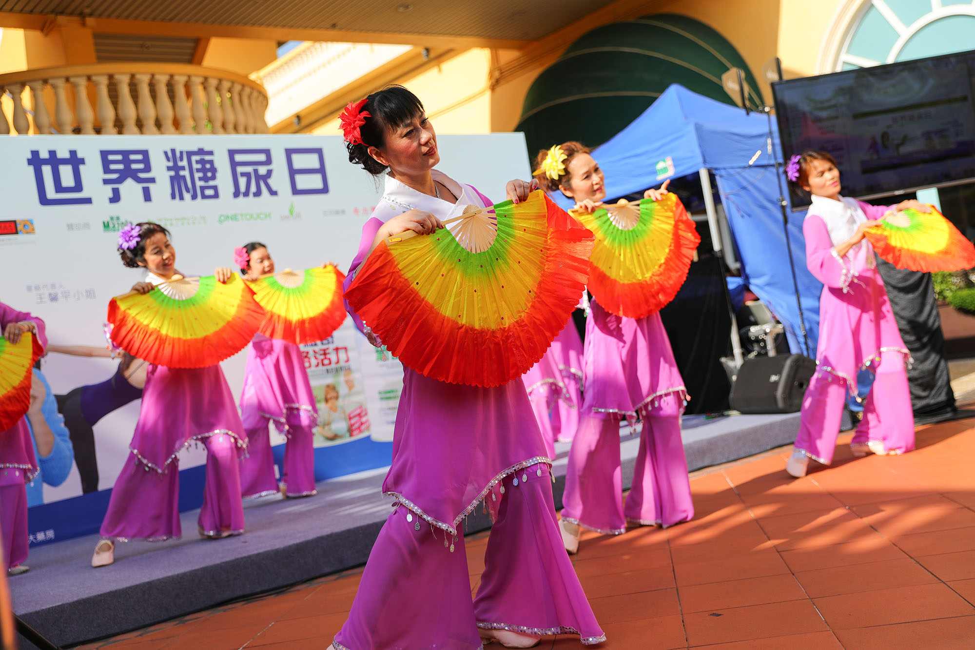 Vit-Gute 維奇奶粉